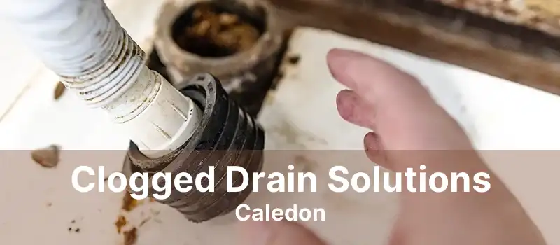 Clogged Drain Solutions Caledon | Clogged Drain Plumbing Solutions Clogged Drain Solutions Caledon | Clogged Drain Plumbing Solutions